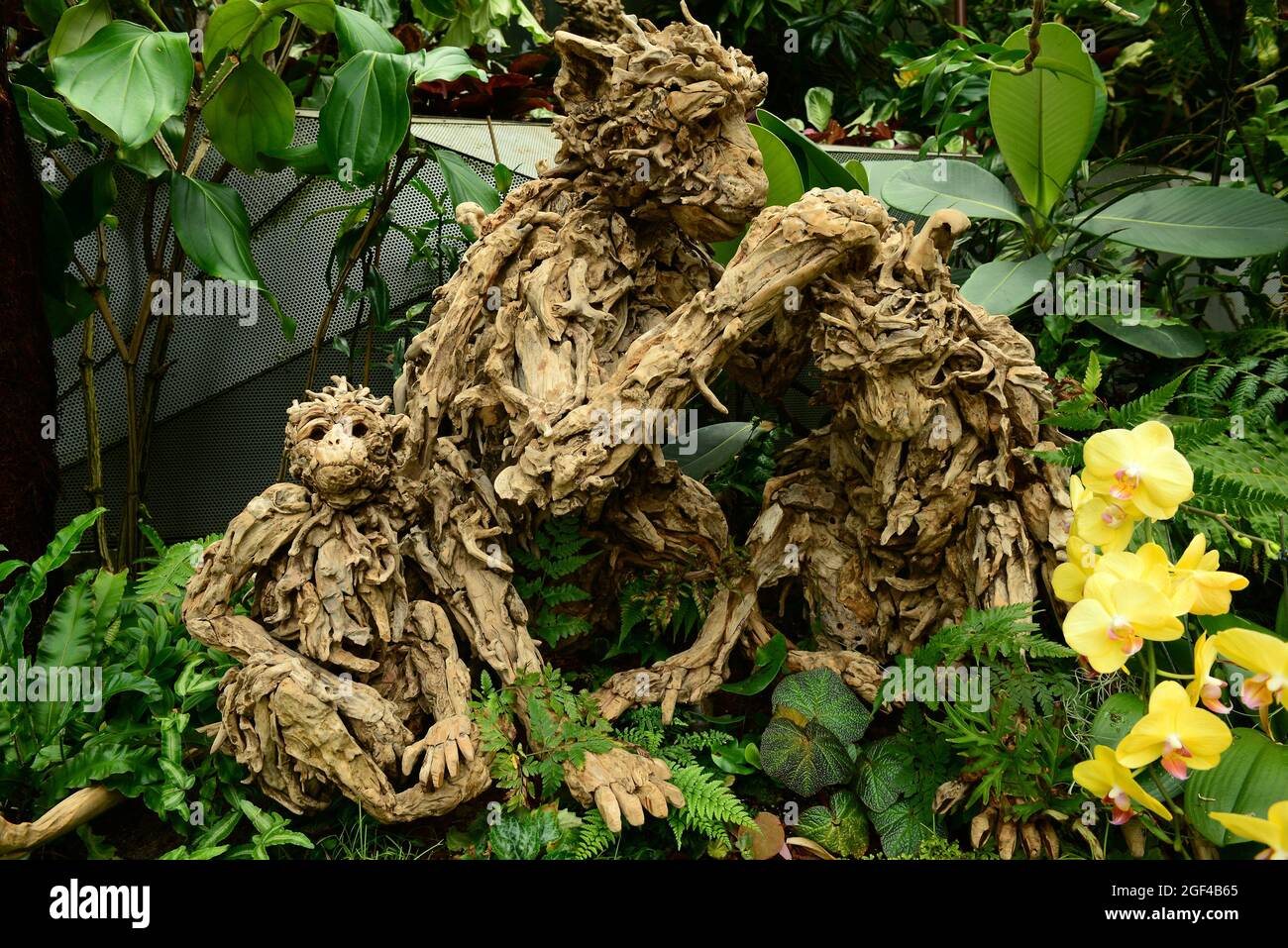 Monkey garden hi-res stock photography and images - Alamy