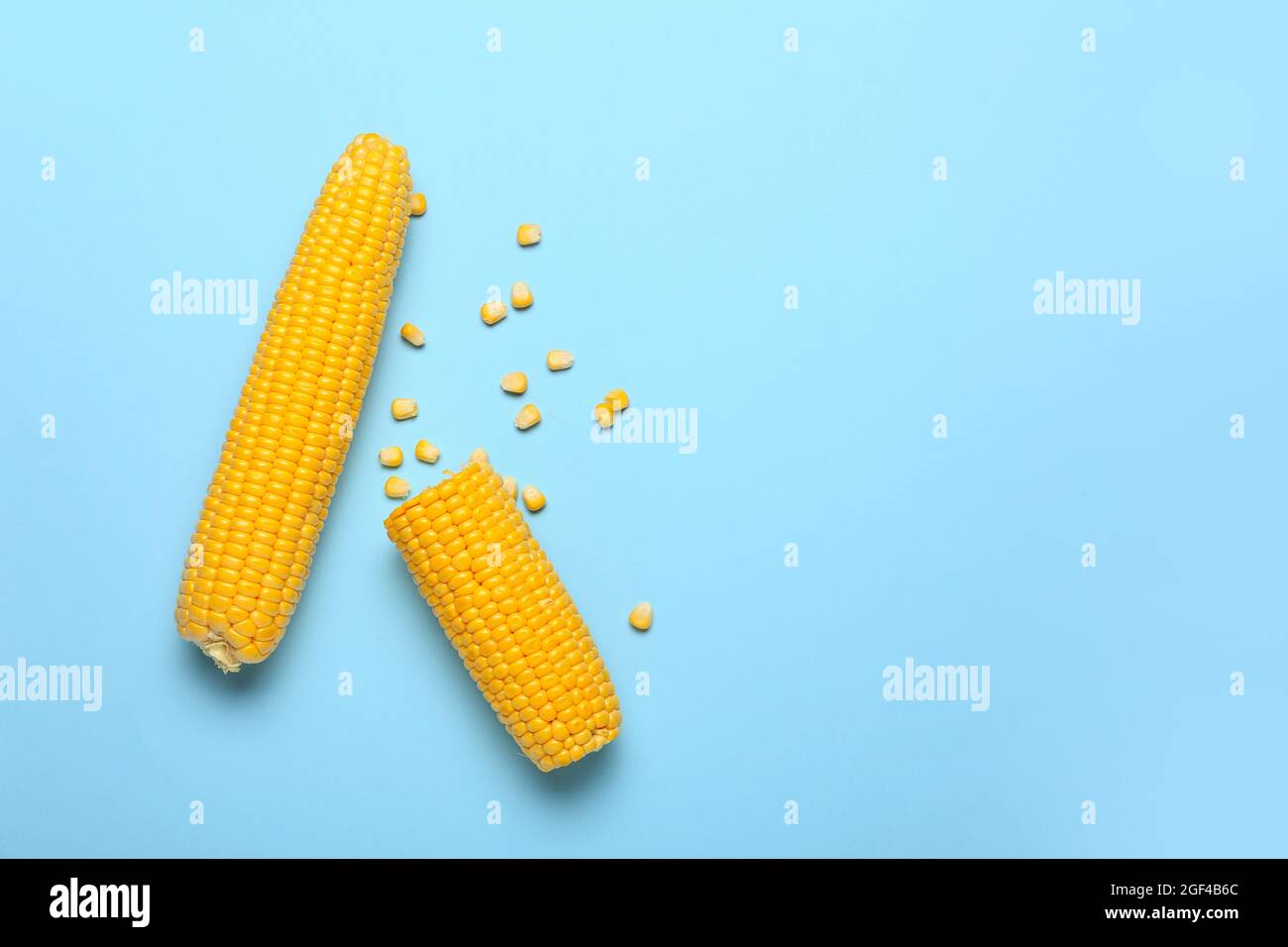 Fresh corn cobs on color background Stock Photo - Alamy