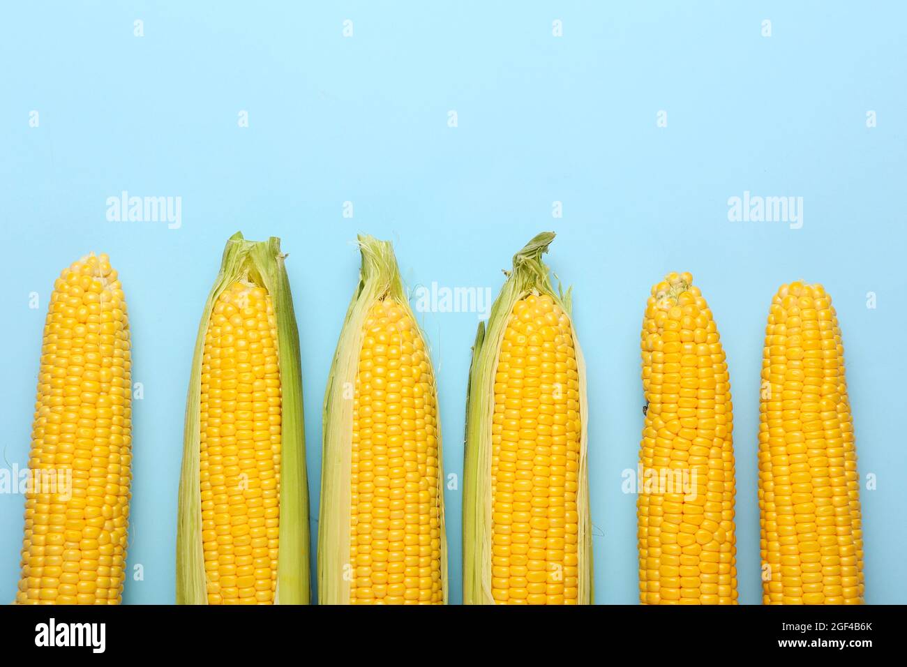 Fresh corn cobs on color background, closeup Stock Photo - Alamy