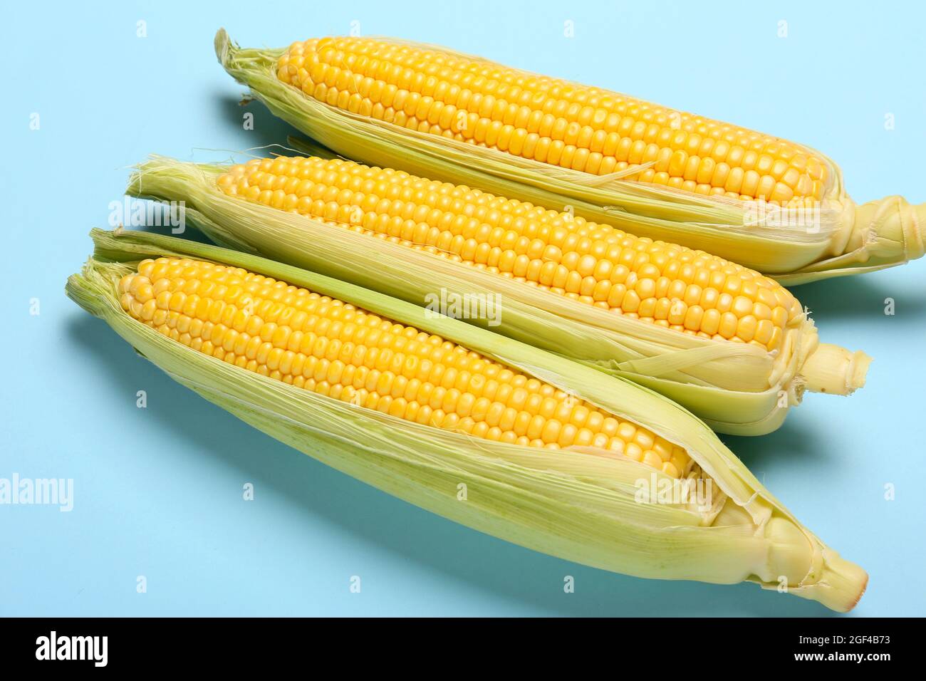 Fresh corn cobs on color background Stock Photo - Alamy