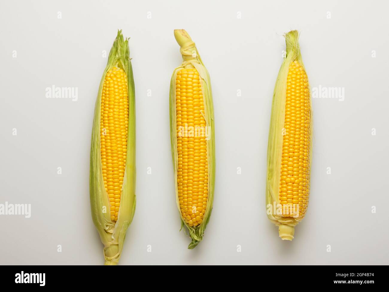Fresh corn cobs on light background Stock Photo - Alamy