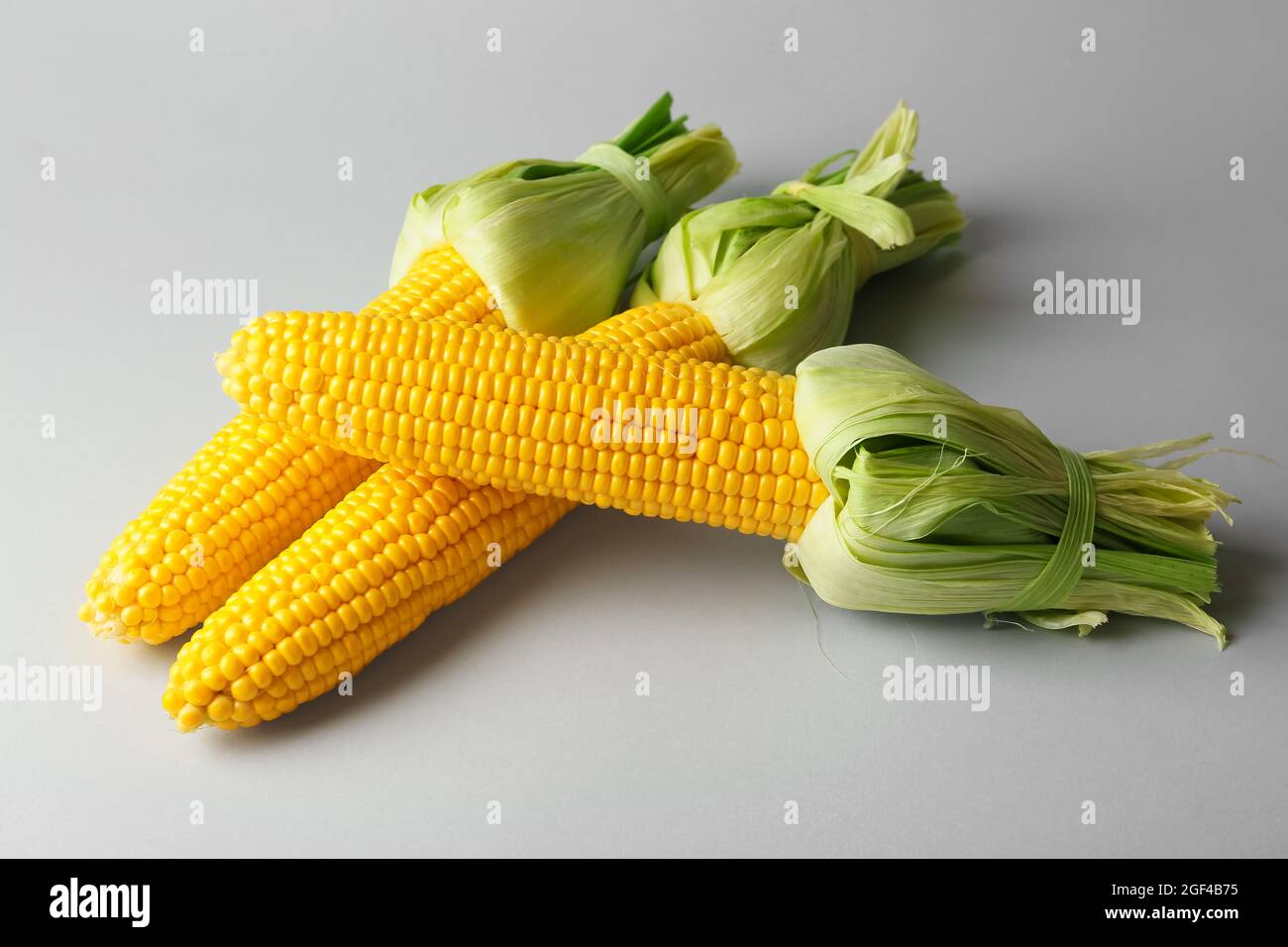 Fresh corn cobs on light background Stock Photo - Alamy