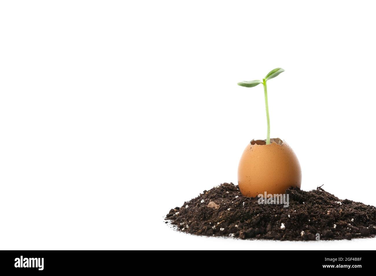 Green seedling in eggshell with heap of soil on white background Stock ...