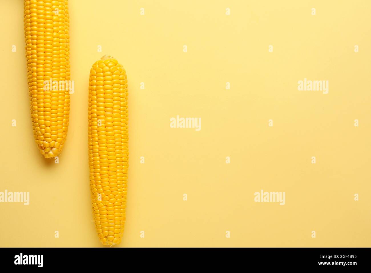 Fresh corn cobs on color background Stock Photo - Alamy
