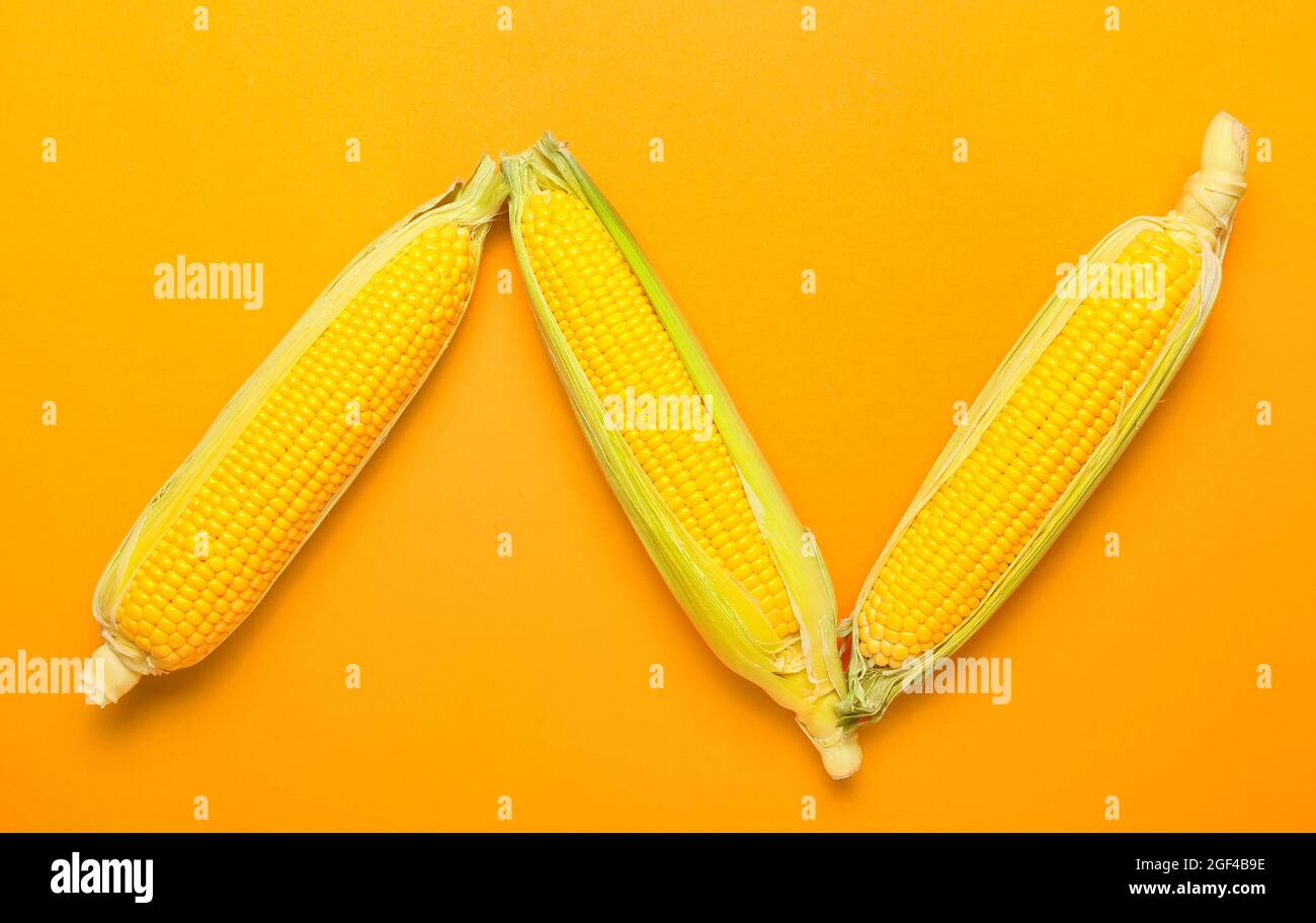 Fresh corn cobs on color background Stock Photo - Alamy