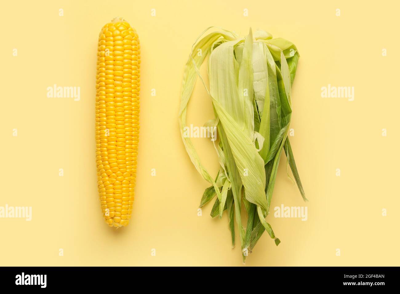 Fresh corn cob and leaves on color background Stock Photo - Alamy