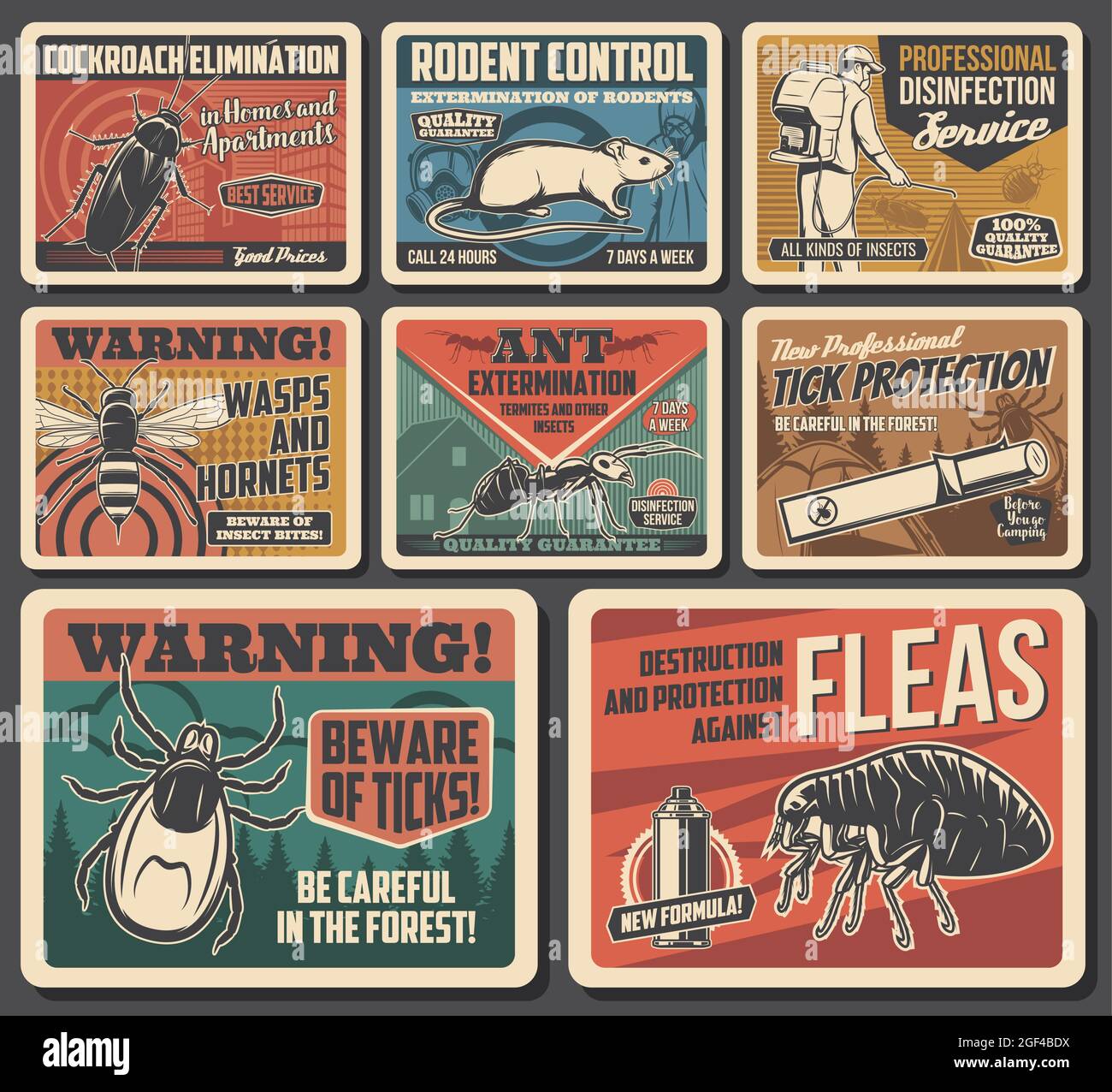 Pest control and home disinfection service, protection from insects ...