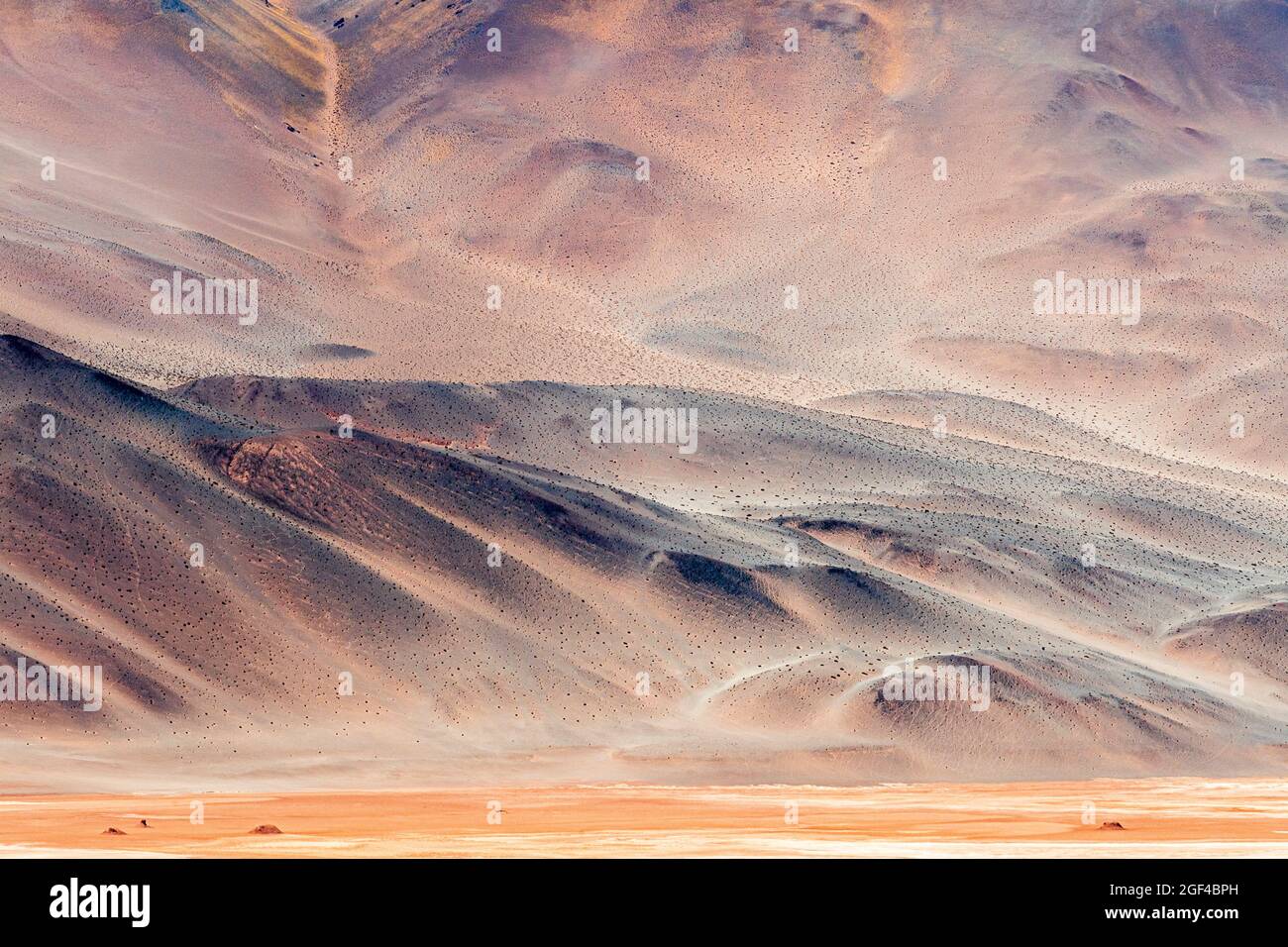 Punta de atacama hi-res stock photography and images - Alamy