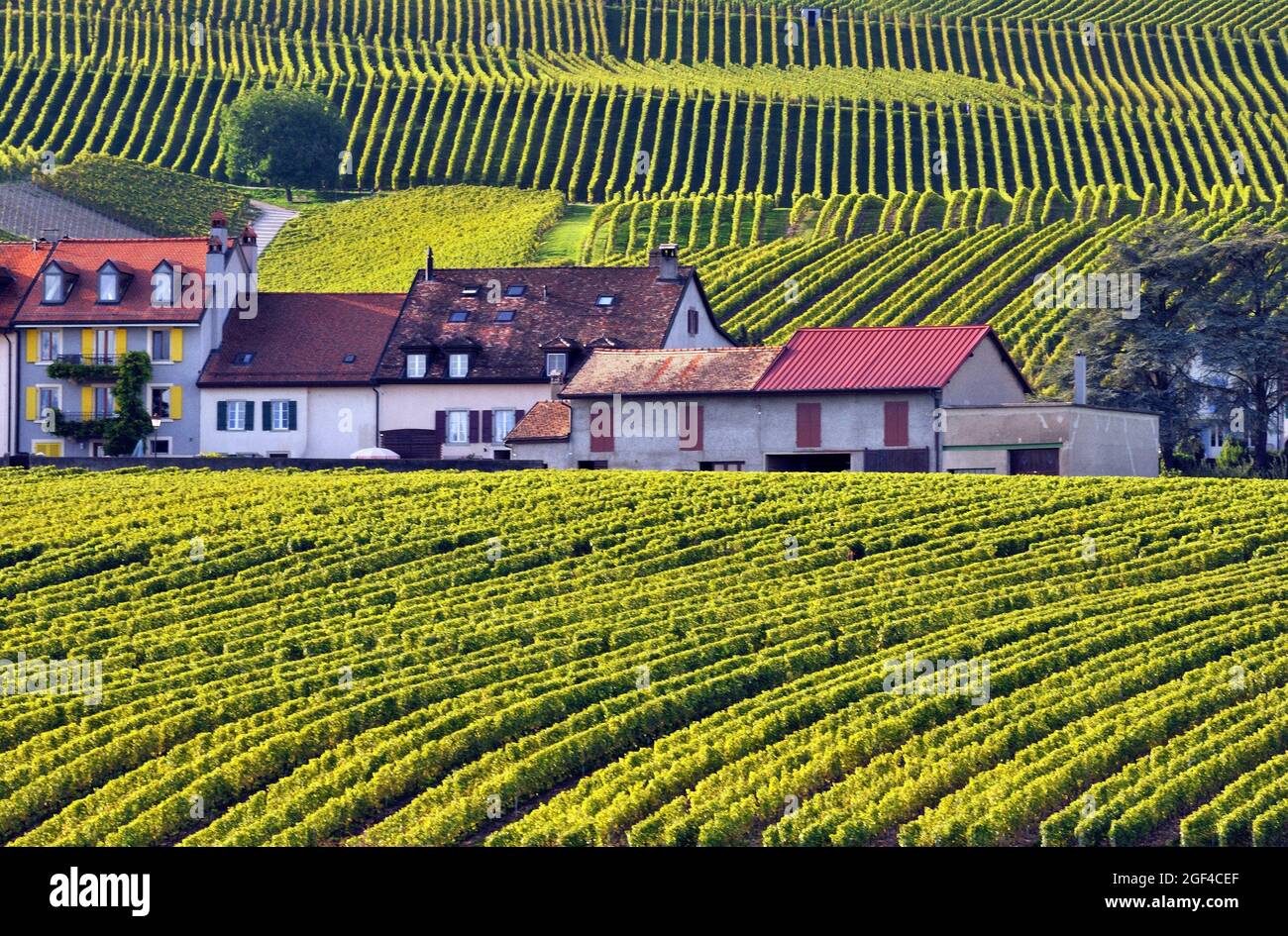 Switzerland in september hi-res stock photography and images - Alamy