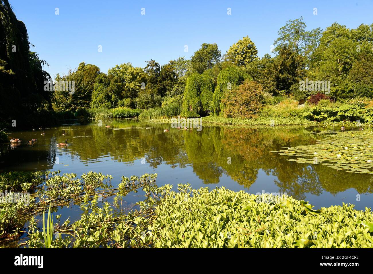 Parc de Bagatelle, Paris, France Stock Photo - Alamy