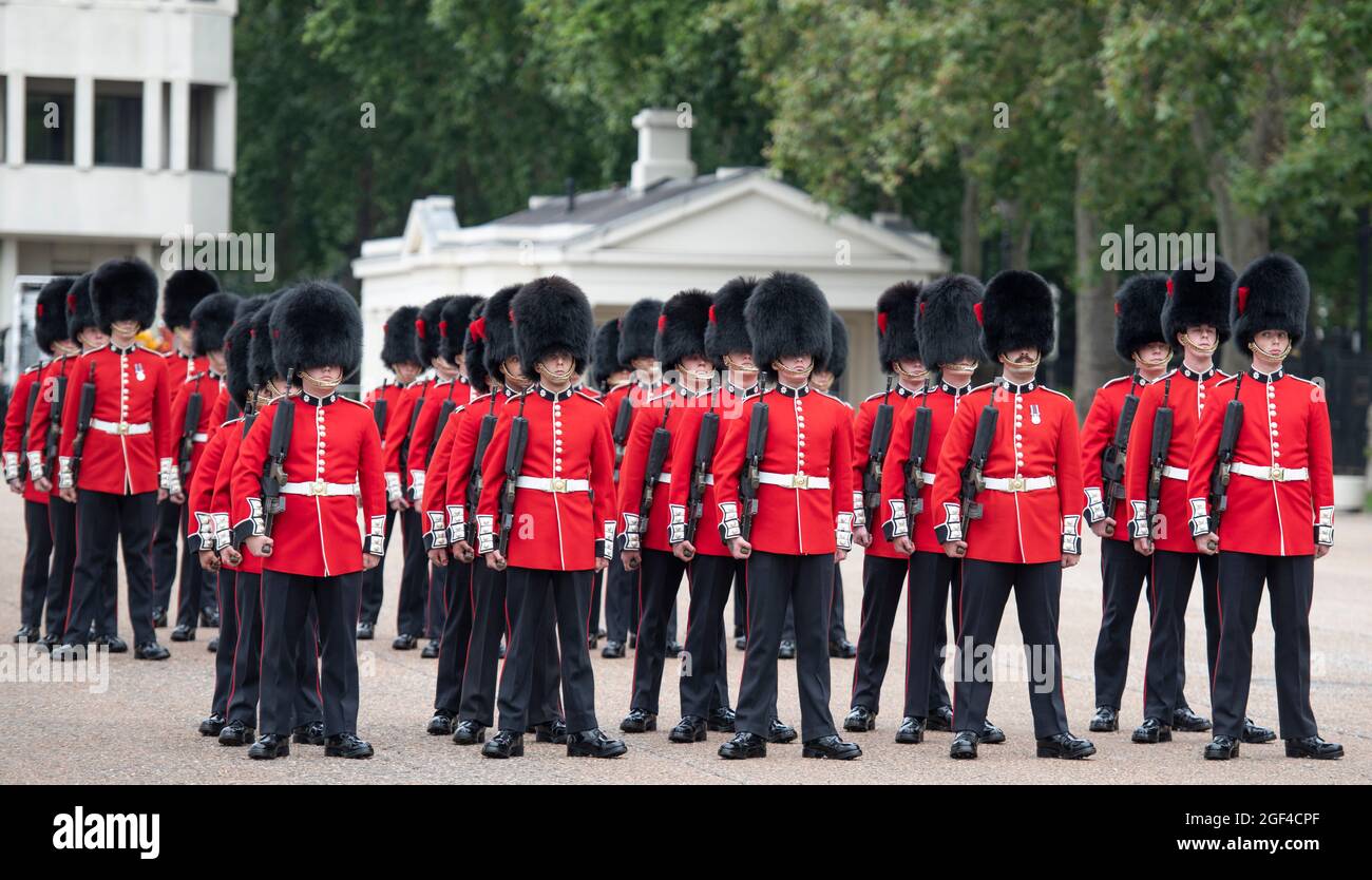 Number 3 company 1st battalion coldstream guards hi-res stock ...
