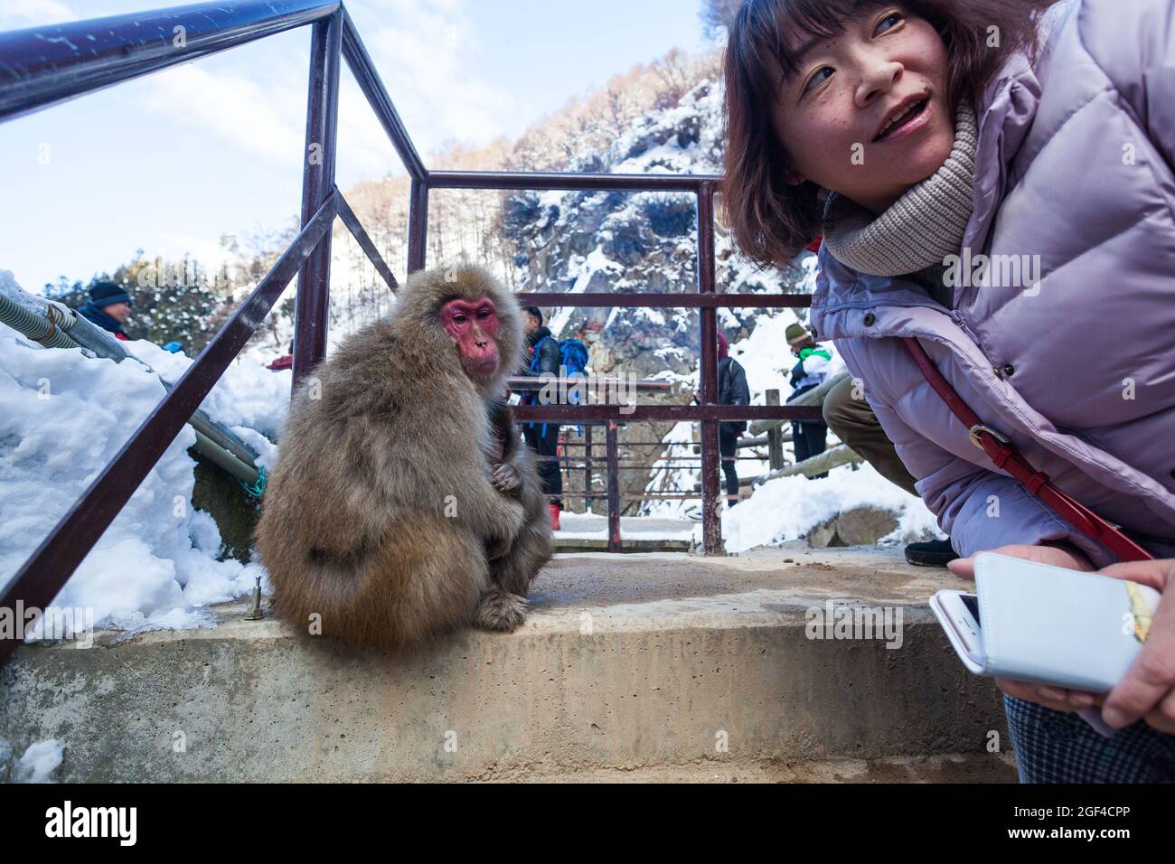 Japanese snow monkey is hugging its baby Stock Photo - Alamy