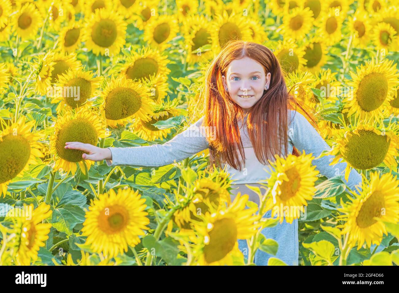A young girl with red hair on her head flies across a yellow sunflower ...