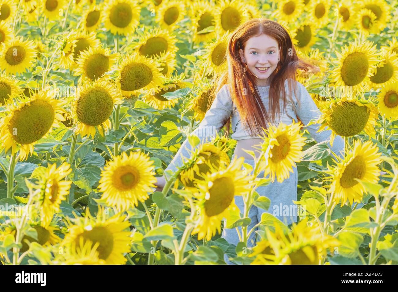A young girl with red hair on her head flies across a yellow sunflower ...