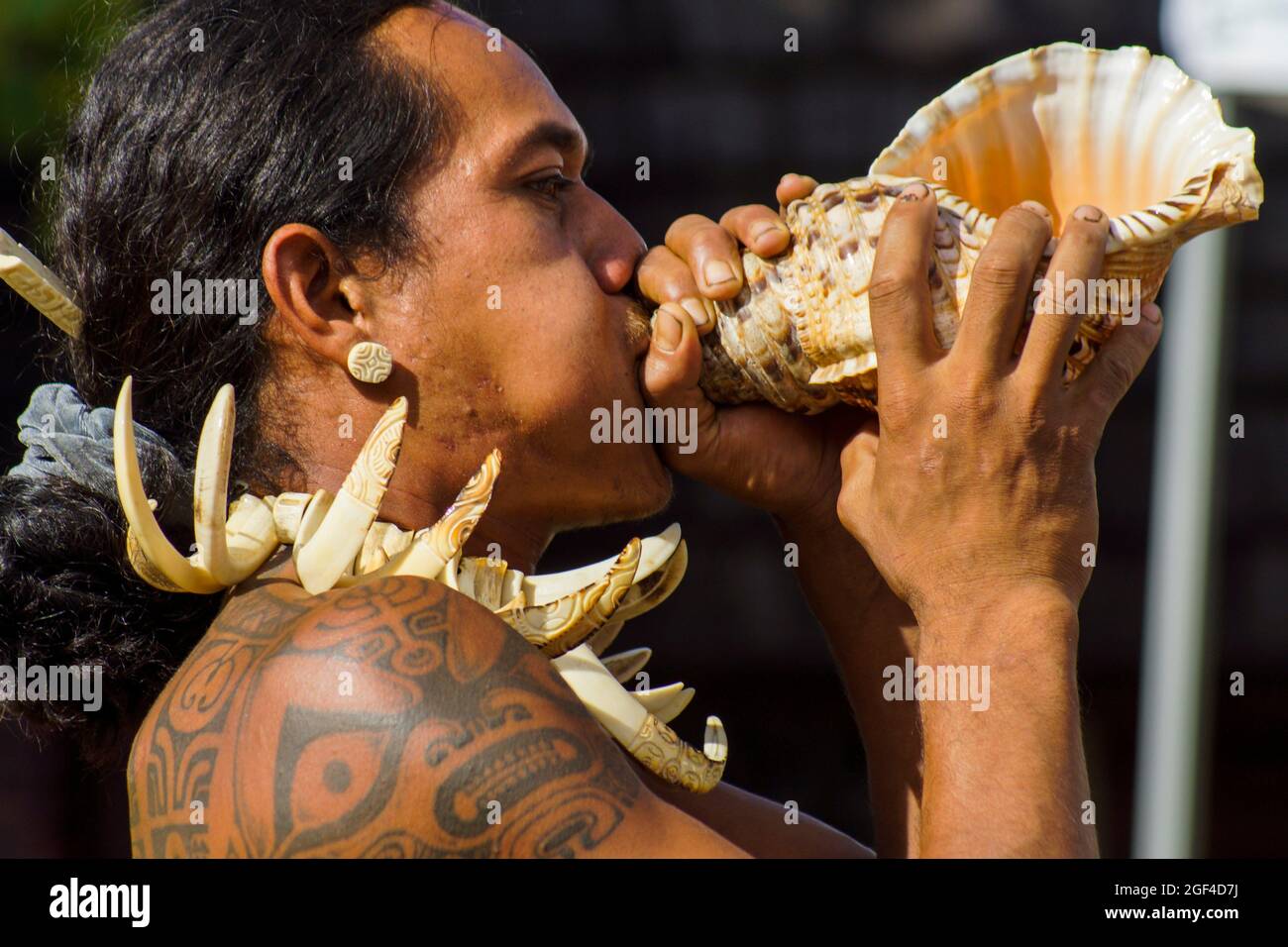 Austral islands shell hi-res stock photography and images - Alamy