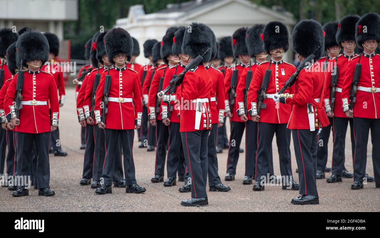 Number 3 company 1st battalion coldstream guards hi-res stock ...