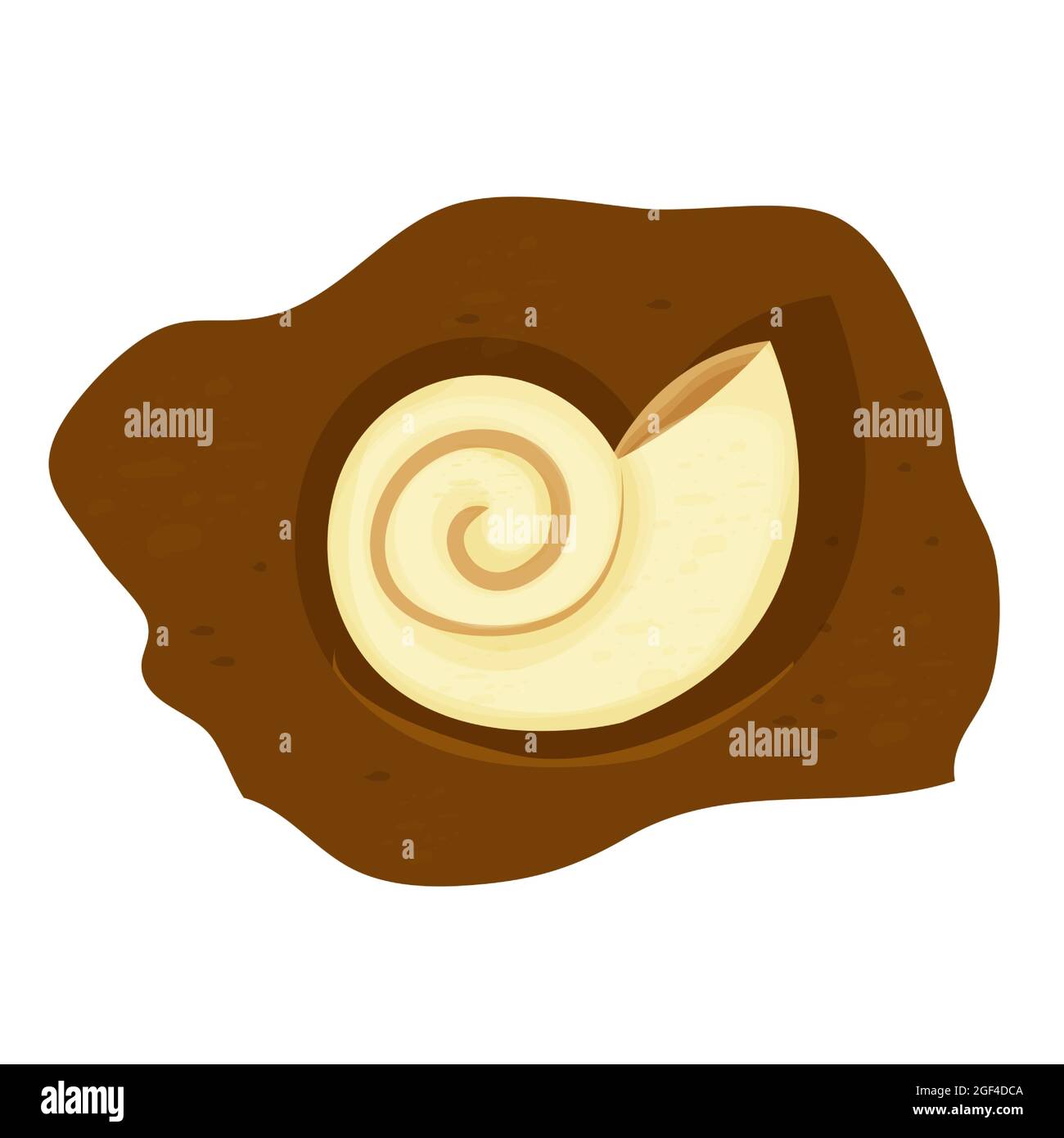 Amonite shell fossil, prehistoric creature in cartoon style isolated on ...