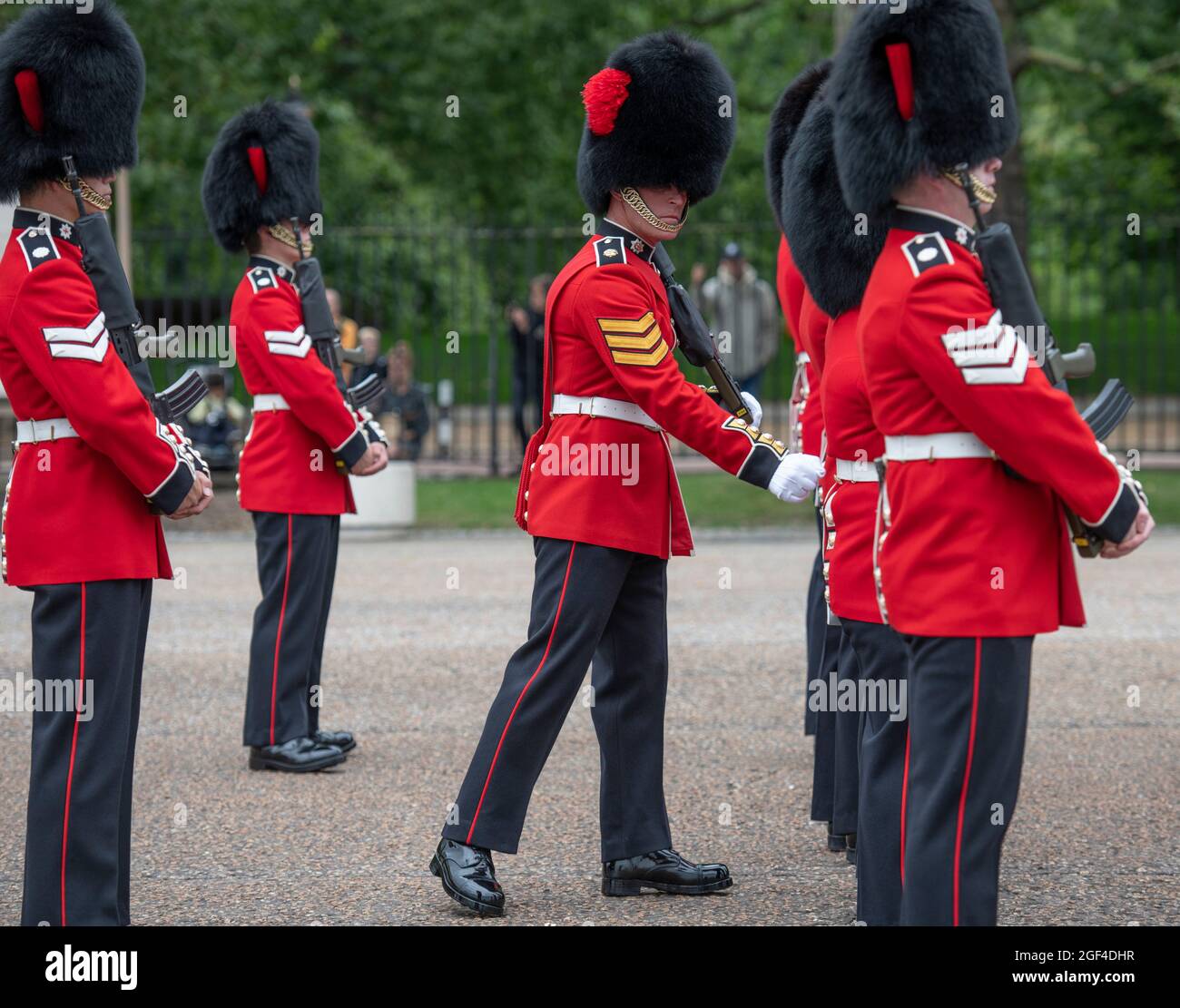 Number 3 company 1st battalion coldstream guards hi-res stock ...