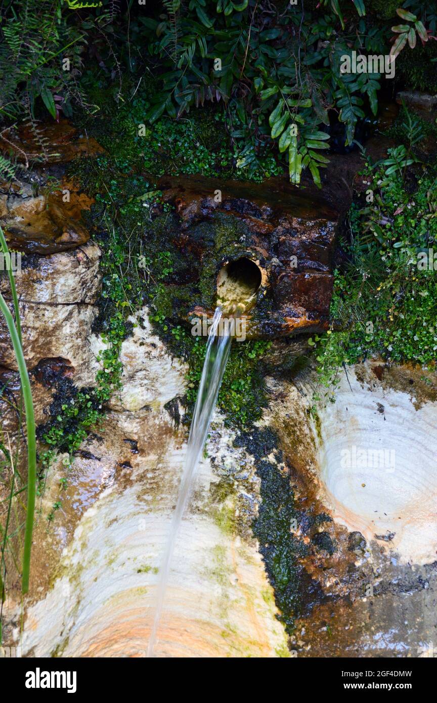 Spring water in the forest Stock Photo - Alamy