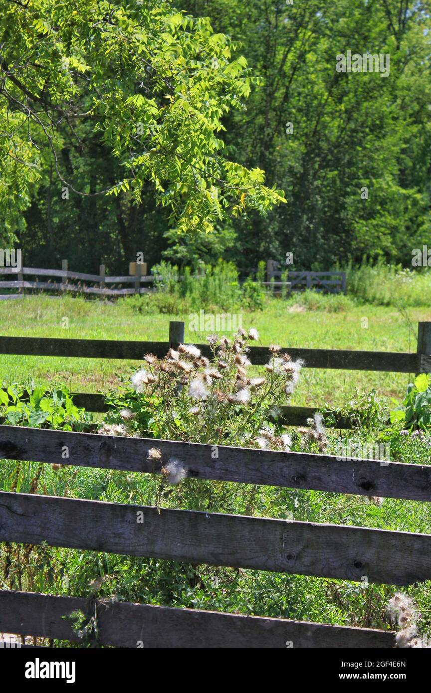 Traditional wooden boundary fence crossing a farm field on a bright ...