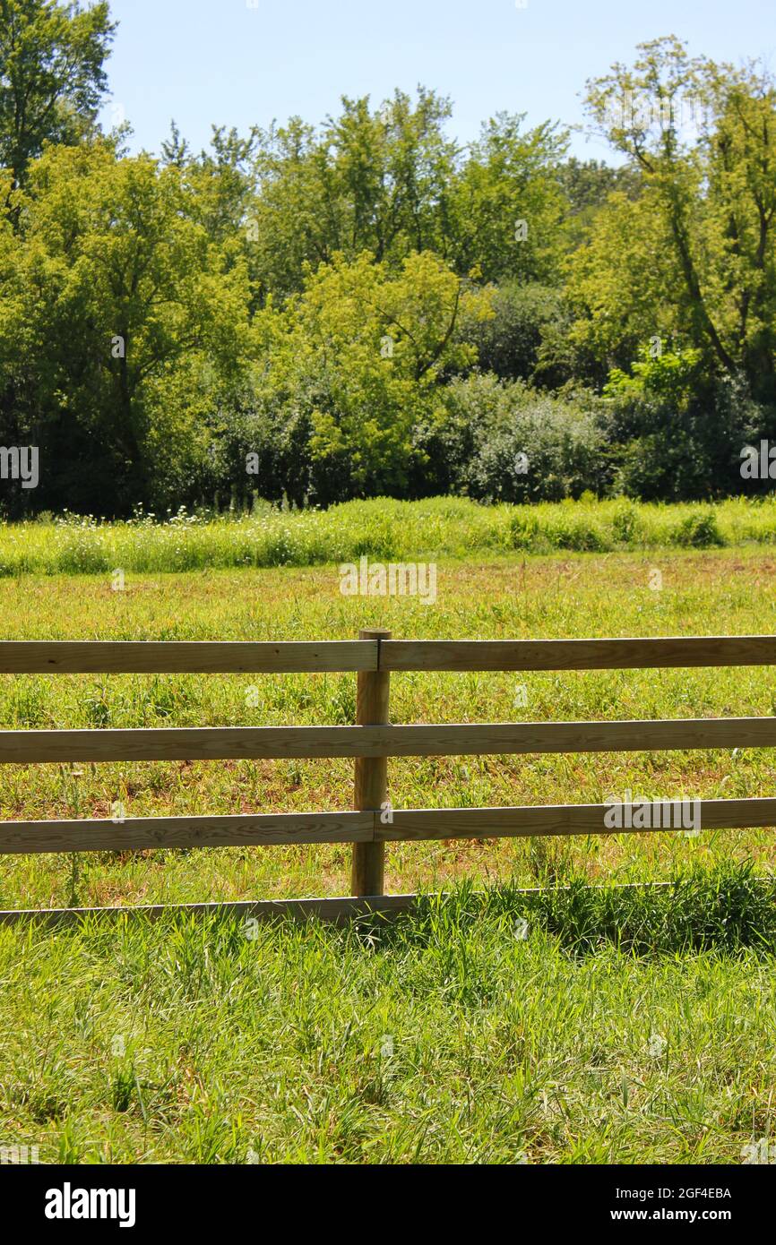 Traditional wooden boundary fence crossing a farm field on a bright ...