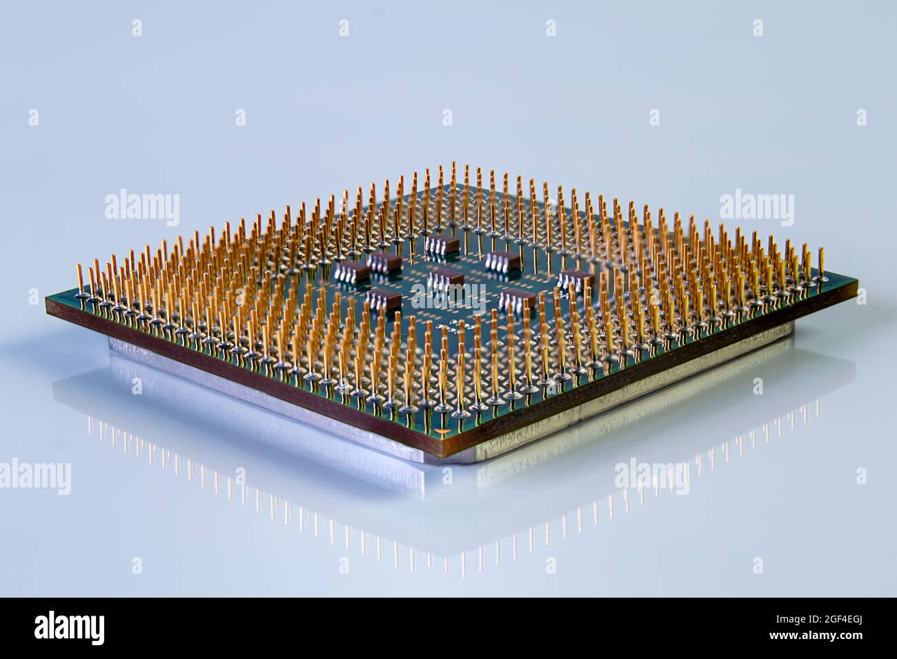 close-up of computer central processor unit with golden pins on white background with reflection ...