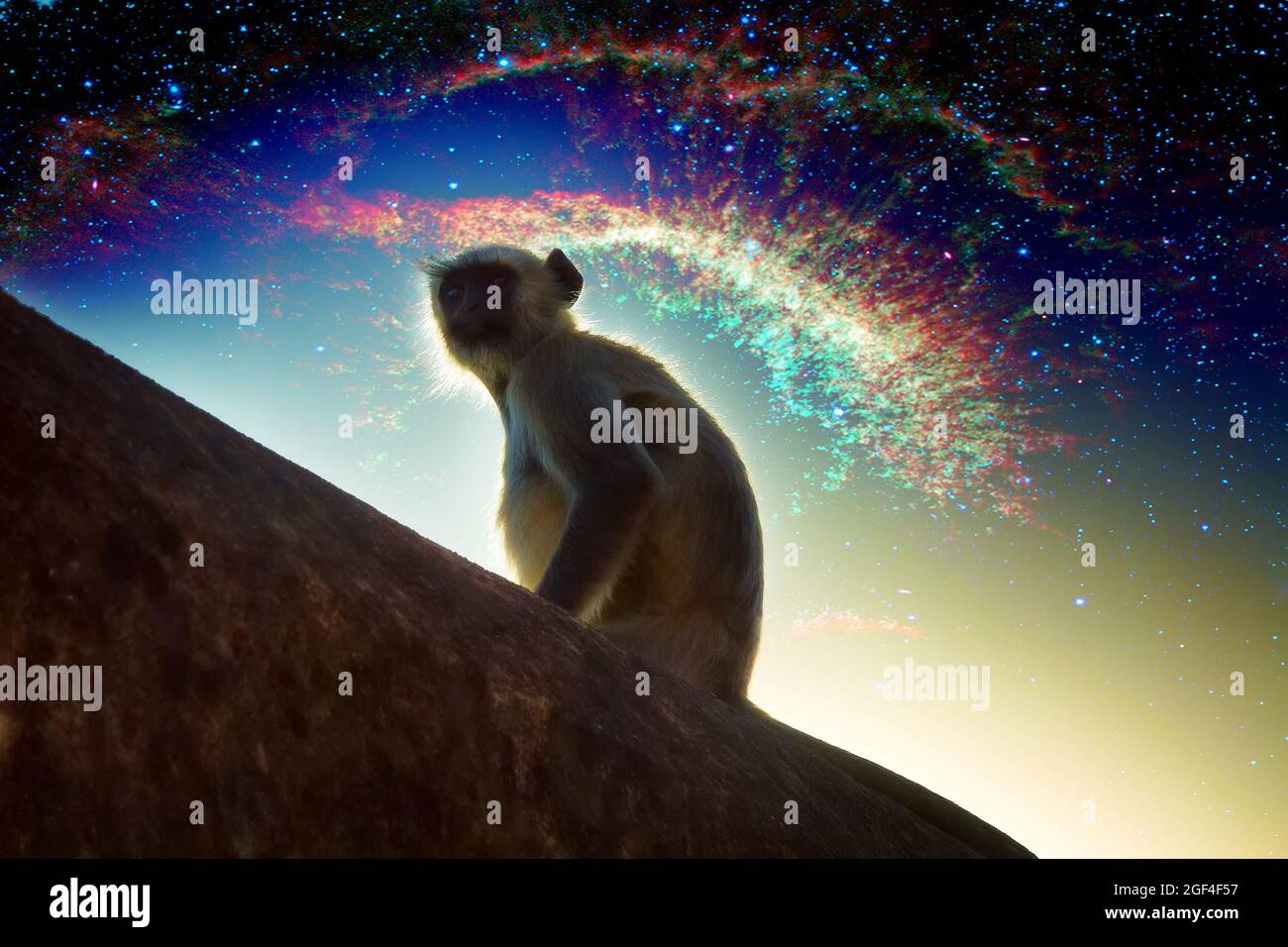 Nasa Science Education Monkey People