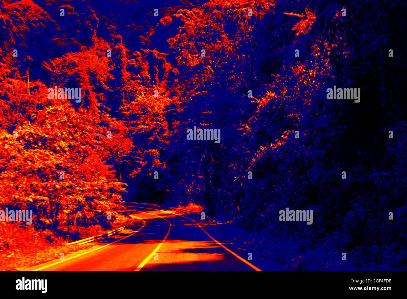 Highway thermal imager used. Mysterious and frightening jungle forest ...
