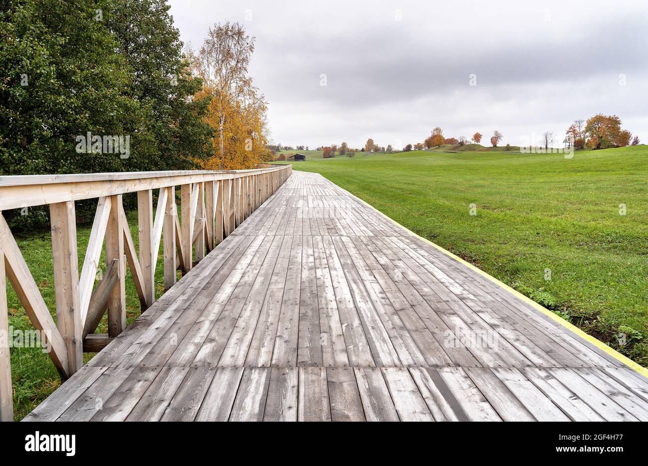 Autumn colorful trees and wooden paved walk landscape. Fall nature ...