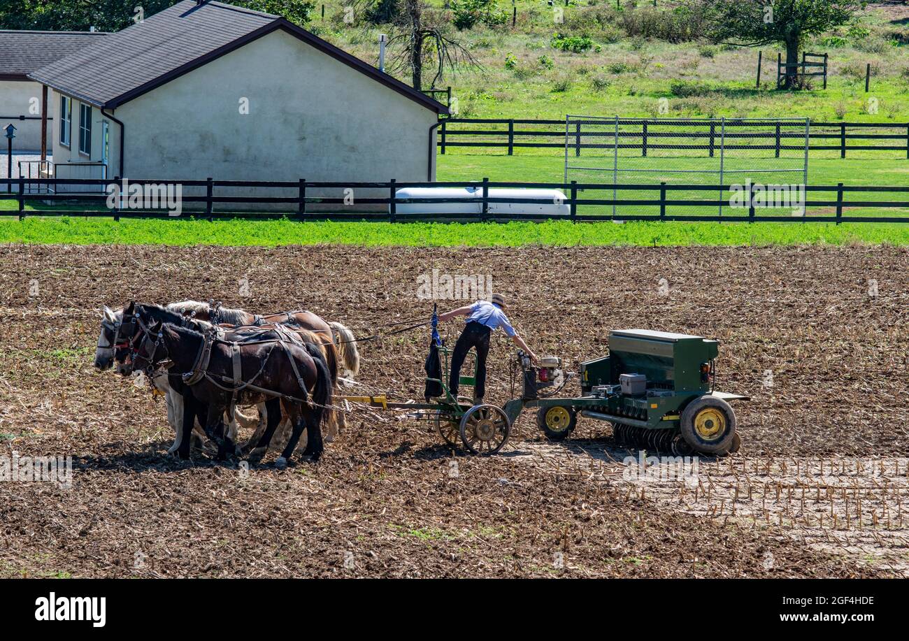 6 horse team pulling equipment hi-res stock photography and images - Alamy