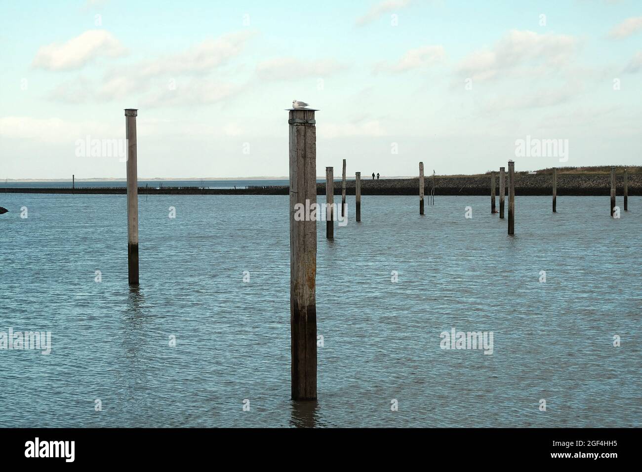 View of wooden poles for water level measurement Stock Photo - Alamy