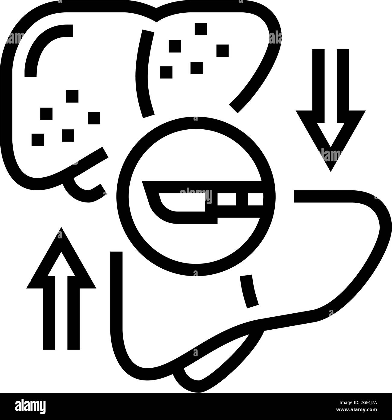 liver transplant line icon vector illustration Stock Vector Image & Art ...
