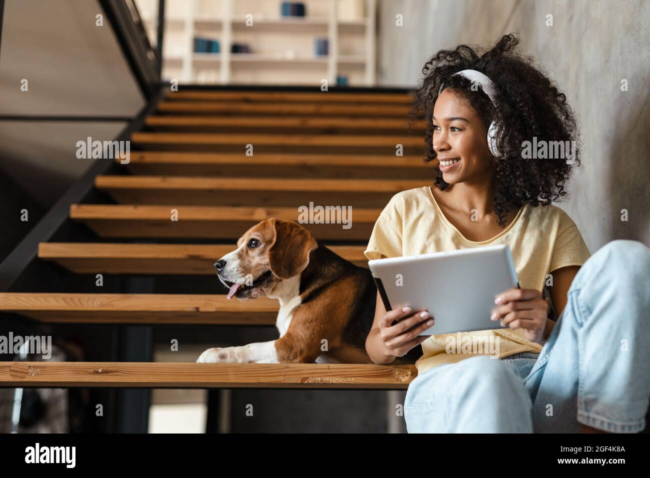 Young smiling african woman in casual wear with beagle puppy at home ...