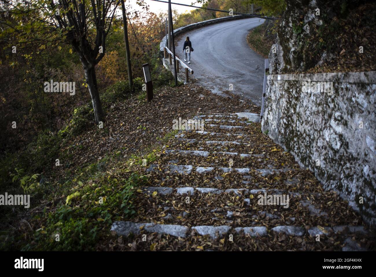 Stairs leading to a curvy road in a park covered in trees and bushes in ...