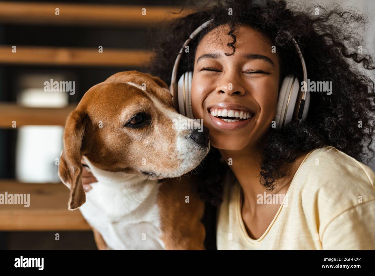 Young african woman in casual wear with beagle puppy at home, sitting ...