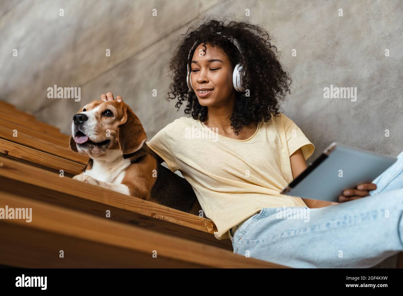 Young smiling african woman in casual wear with beagle puppy at home ...
