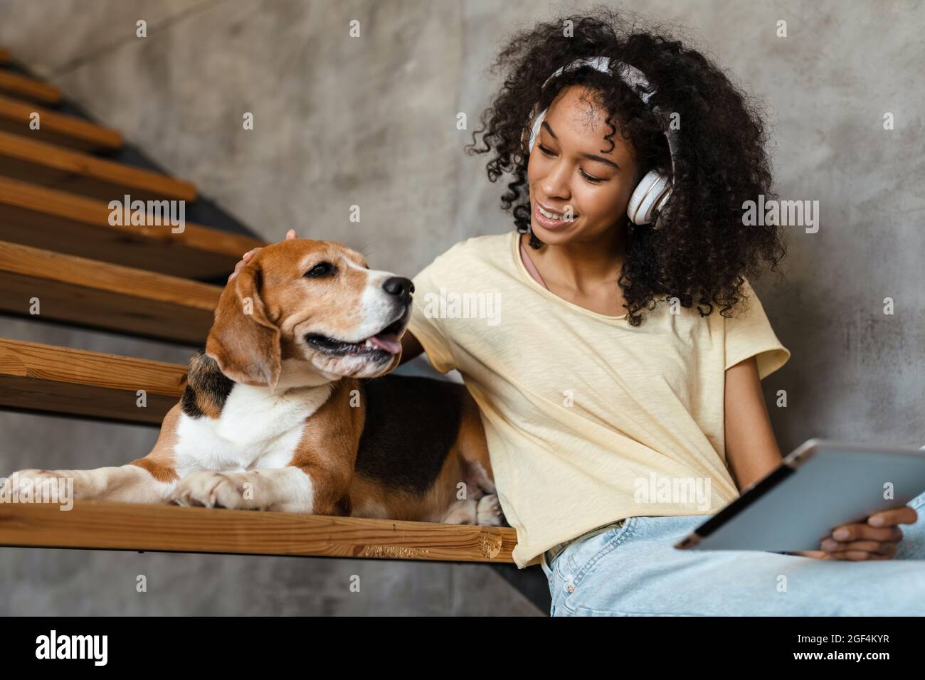Young smiling african woman in casual wear with beagle puppy at home ...
