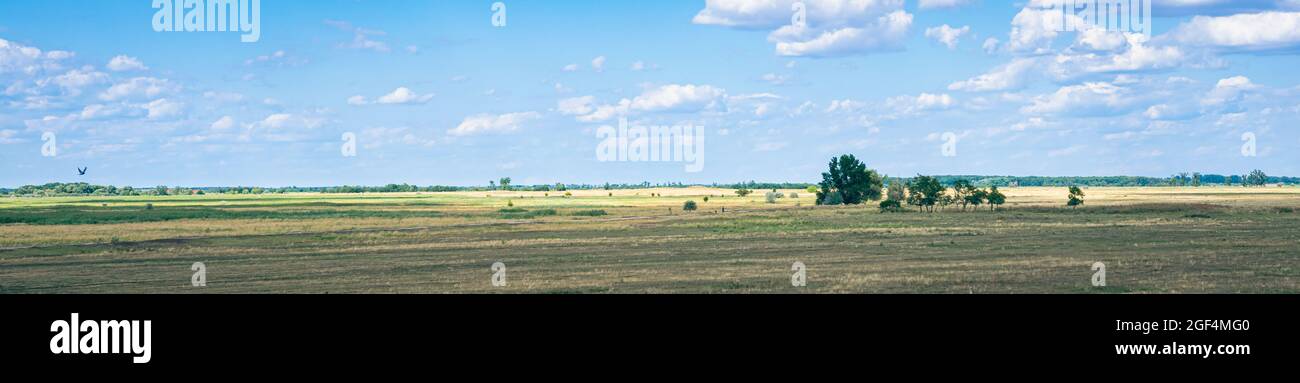Great hungarian plain hi-res stock photography and images - Alamy