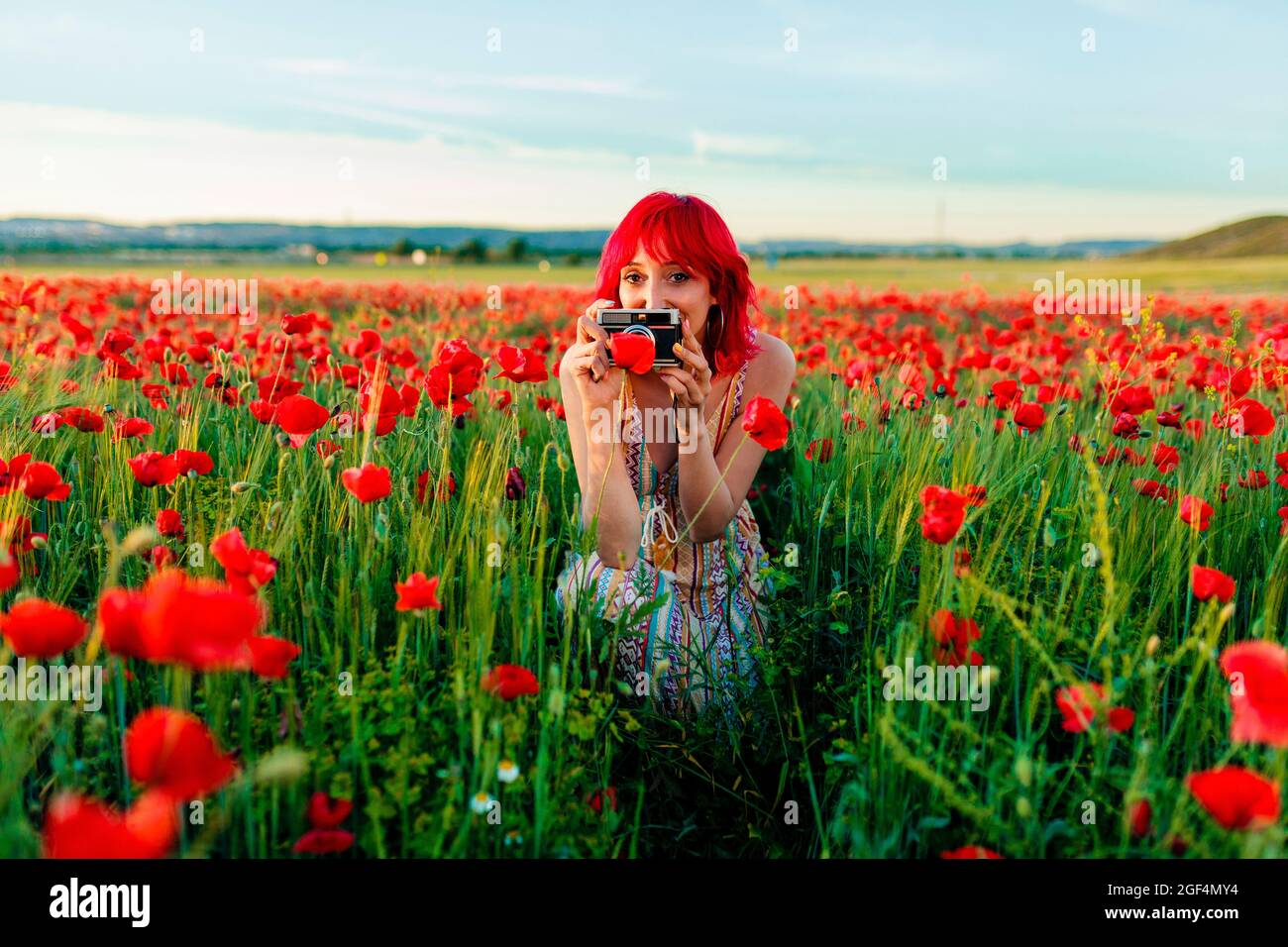 Woman holding camera while crouching on poppy field Stock Photo - Alamy