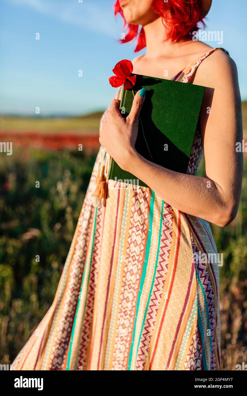 Poppy book hi-res stock photography and images - Alamy