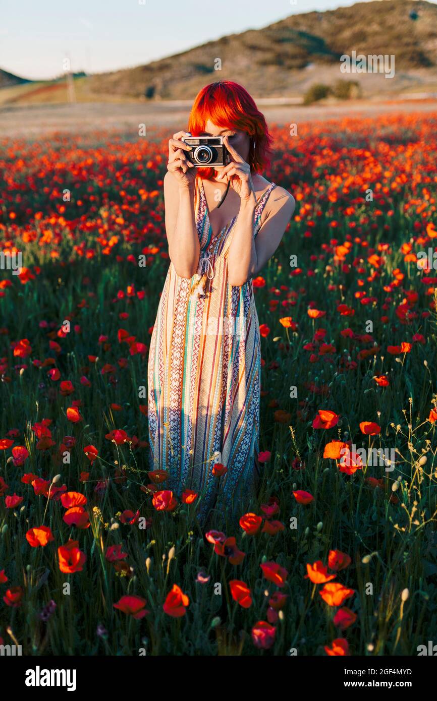 Redheaded woman photographing through camera while standing at poppy ...