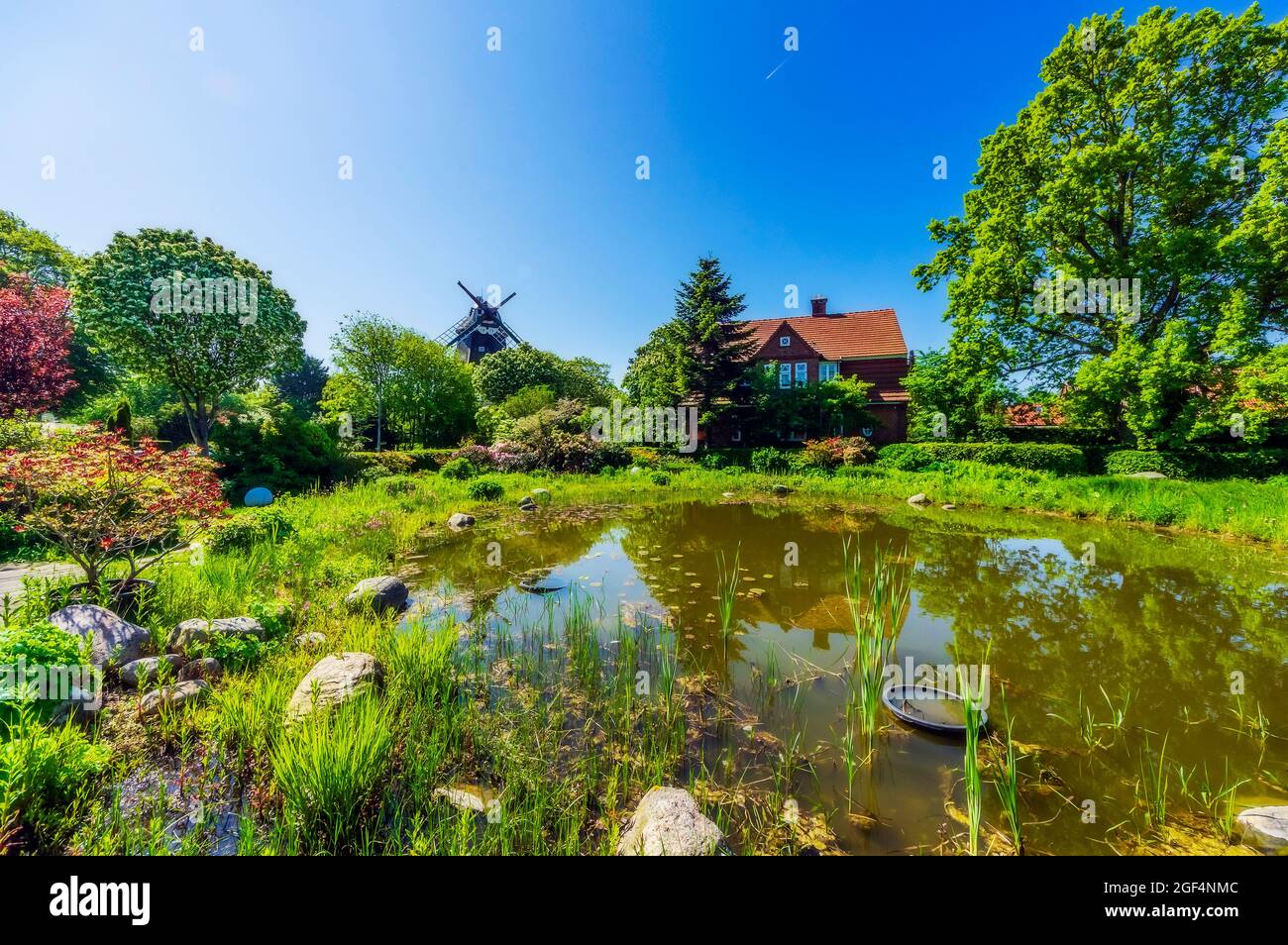 Pond in summertime park with single house and traditional windmill in ...