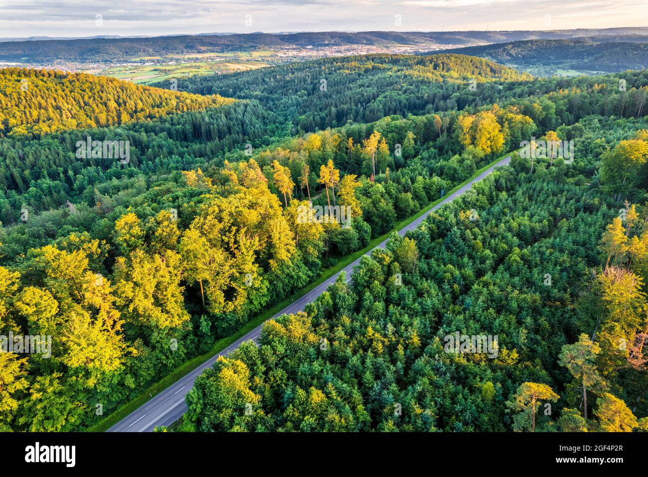 Scenic road through forest hi-res stock photography and images - Alamy
