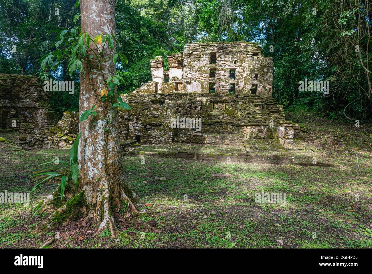 Archaeological site of yaxchilan hi-res stock photography and images ...