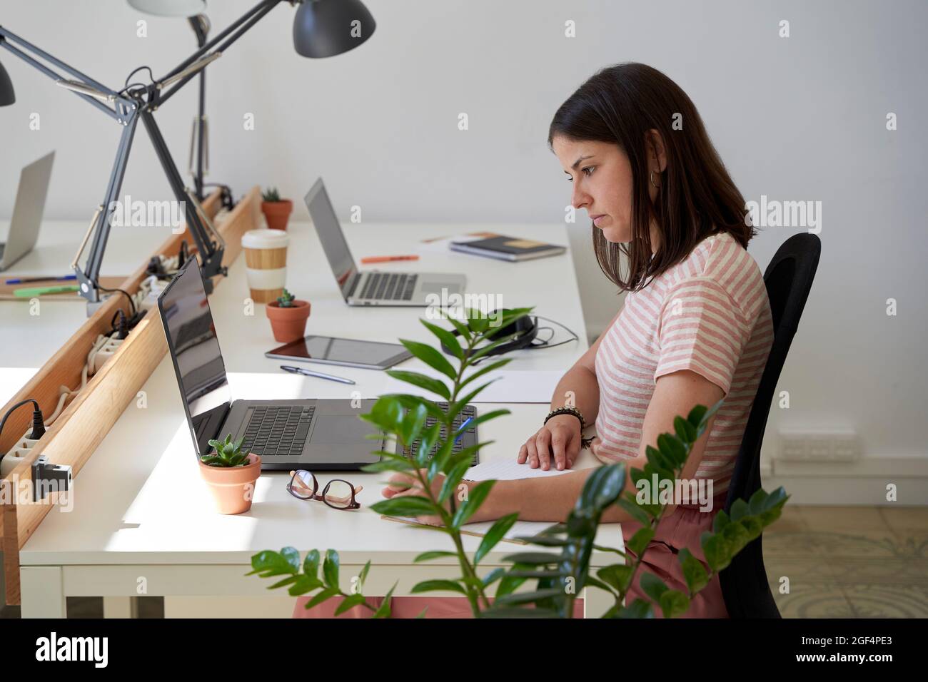 Office desk in green light hi-res stock photography and images - Alamy