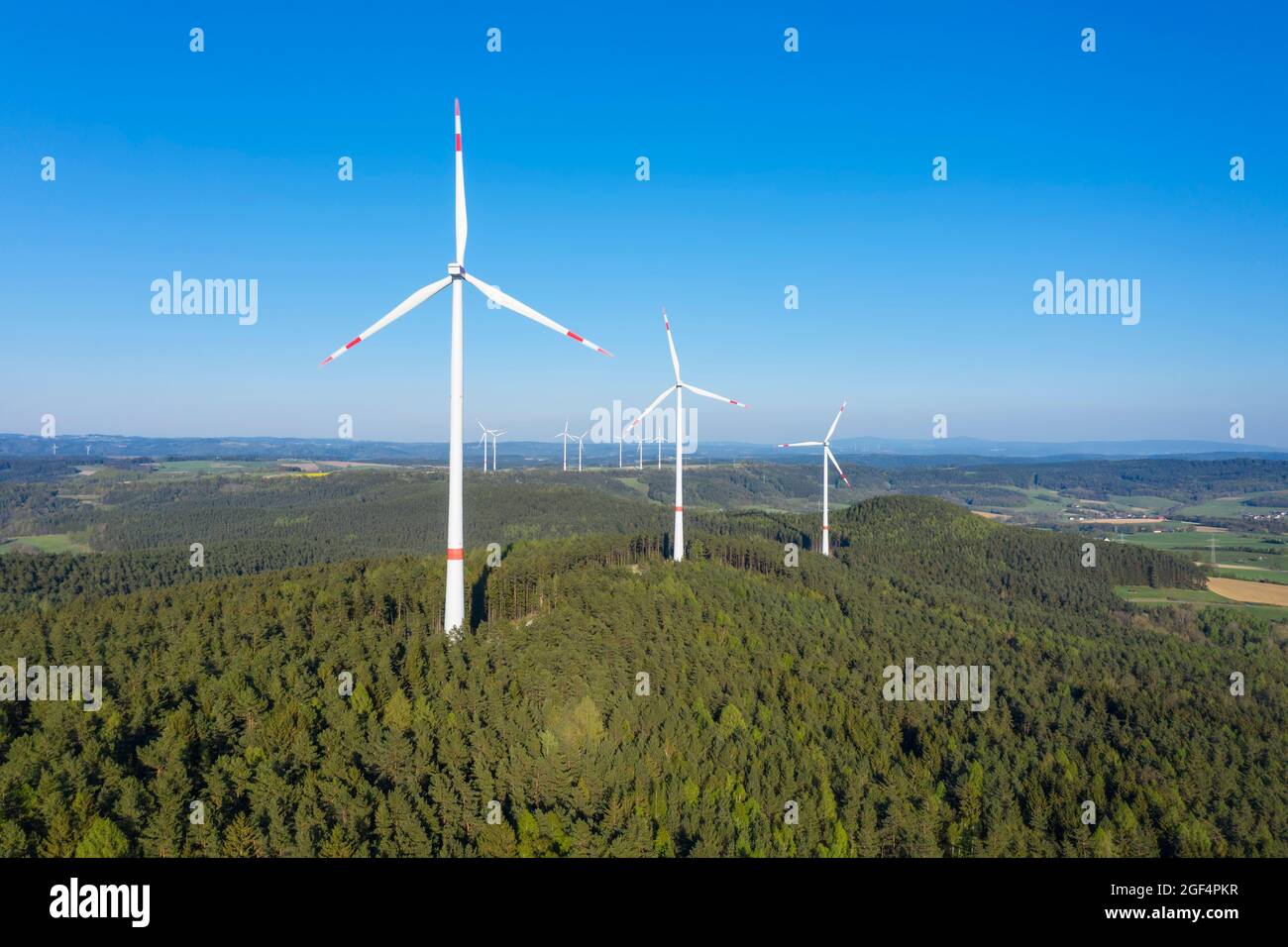 Forest wind spring hi-res stock photography and images - Alamy