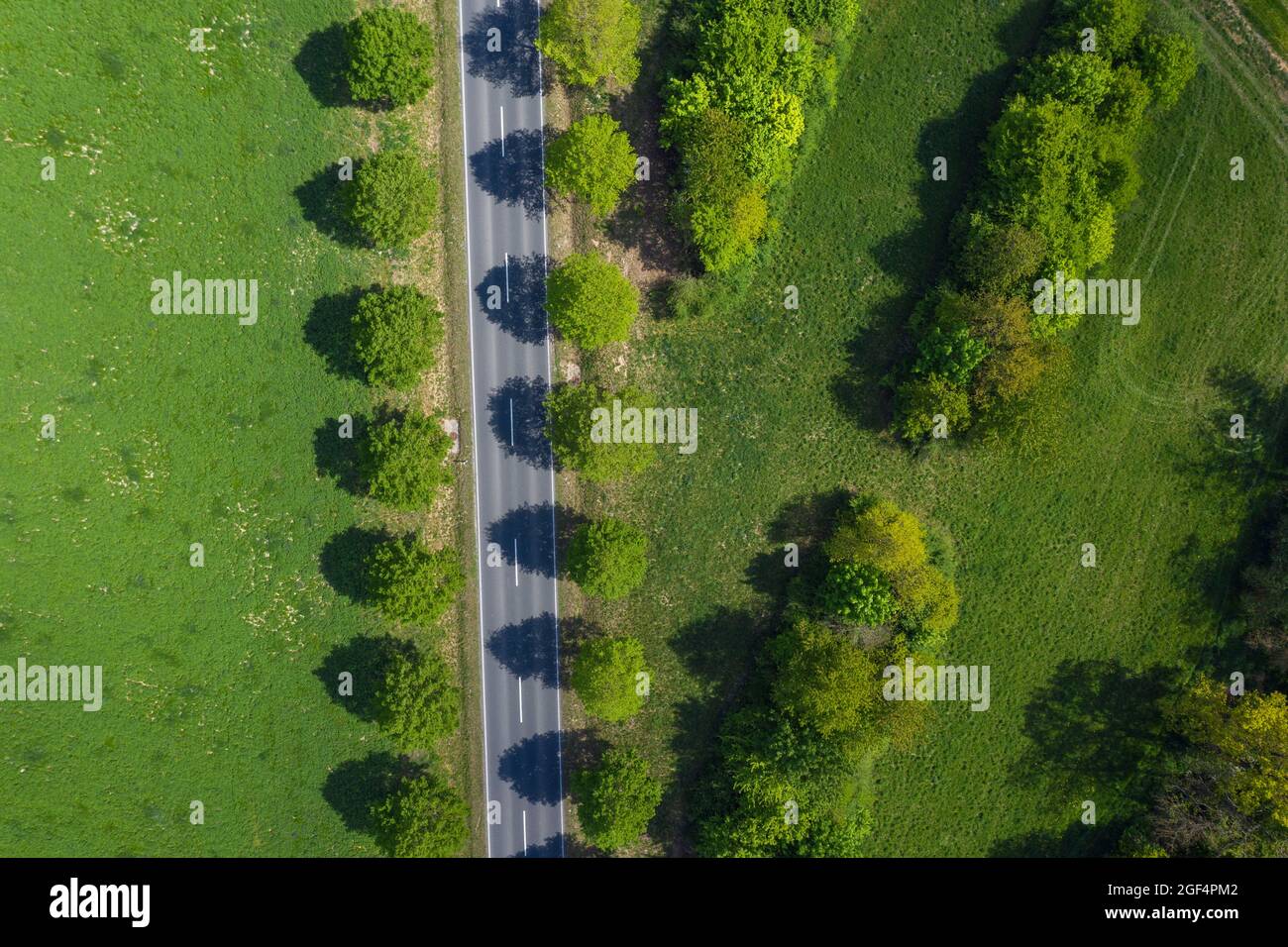 Aerial view treelined road hi-res stock photography and images - Alamy