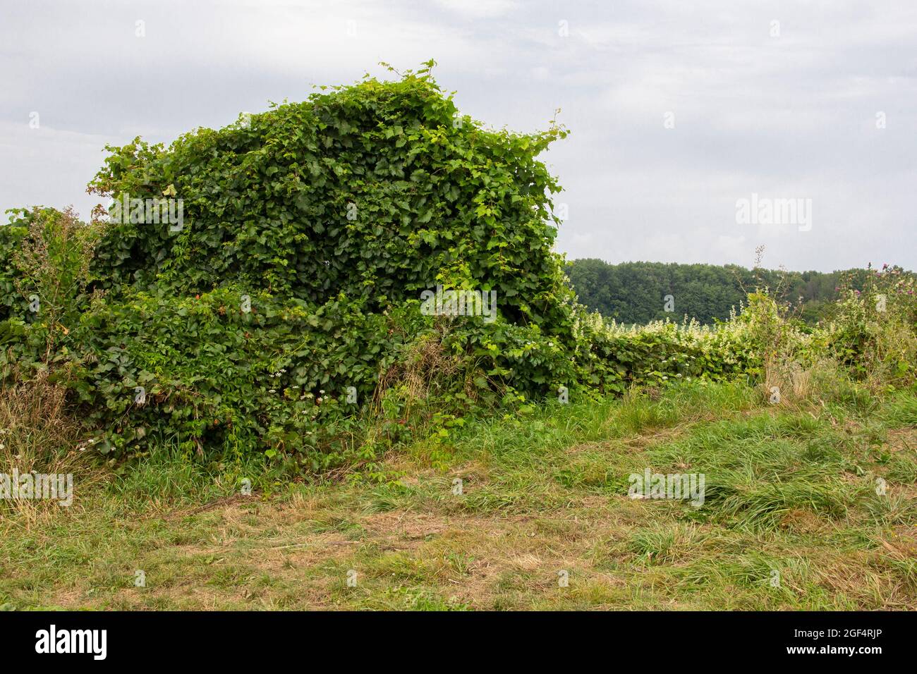 Large farms hi-res stock photography and images - Alamy