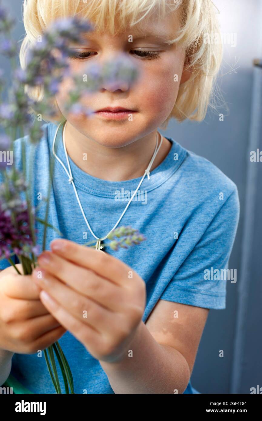 The violet girl hi-res stock photography and images - Alamy