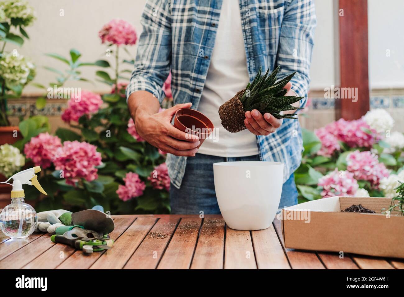 Man doing plantation backyard hi-res stock photography and images - Alamy
